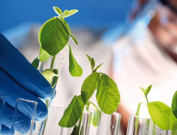 Laboratoires Goëmar - Journal Général de l'Europe